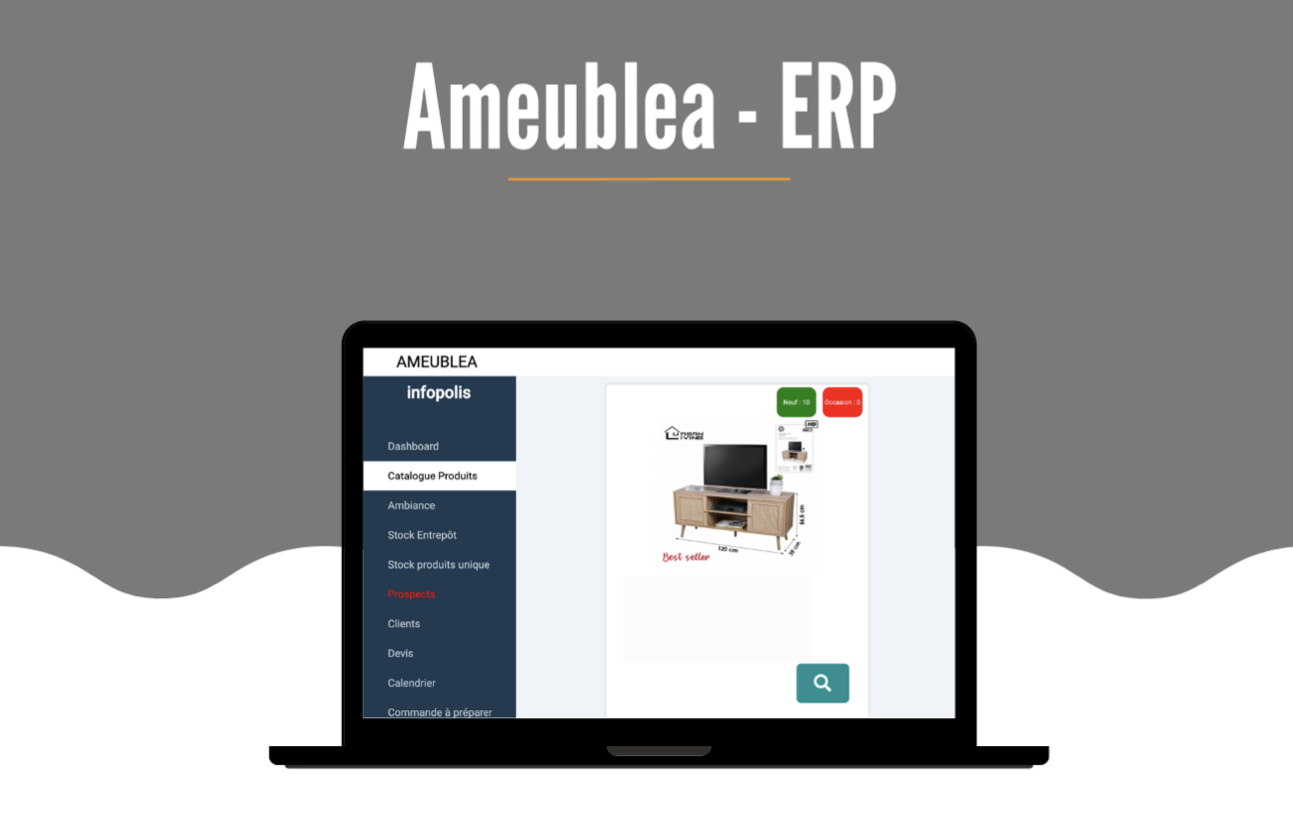 Ameublea - Réalisation - ERP - Infopolis