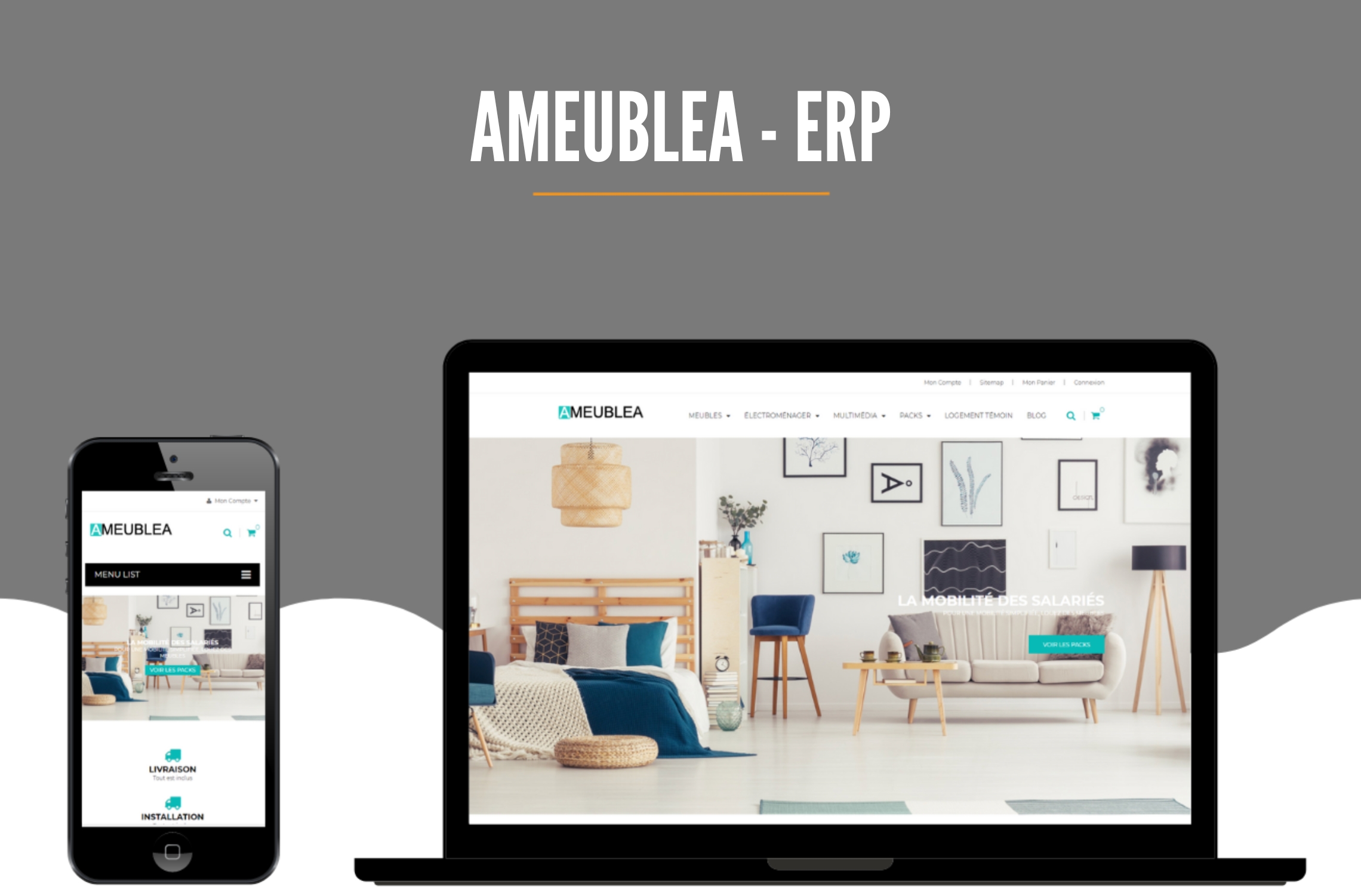 Ameublea - ERP sur mesure - Réalisation - Infopolis